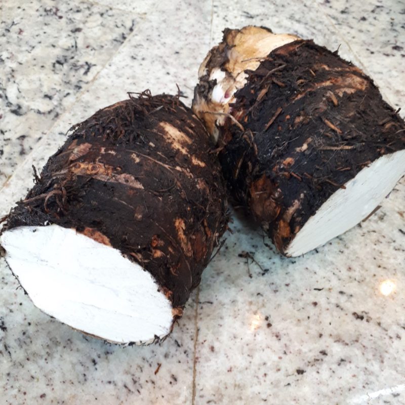 ️ Comprar Ocumo Chino Online en Margarita