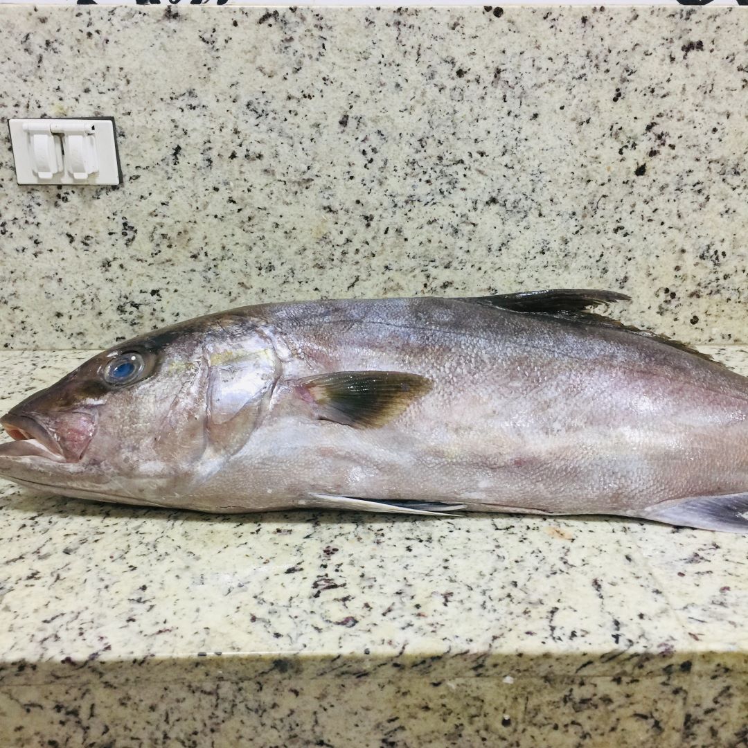 ️ Comprar Churrasco de Atún Medregal (Ver Descripción) Online en Margarita