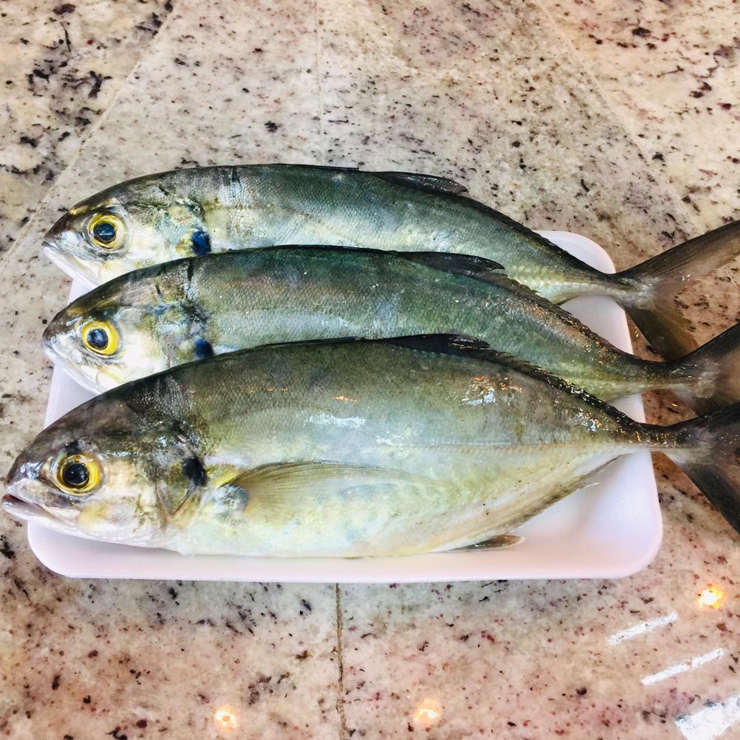 ️ Comprar Cojinua (Ver descripcion) Online en Margarita