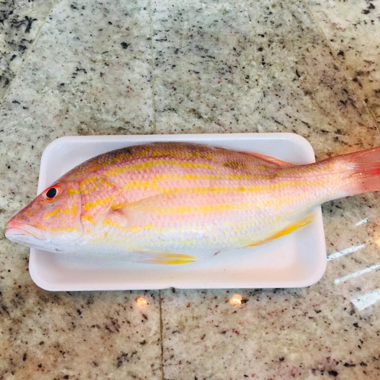 ️ Comprar Pargo Dienton (Ver descripcion) Online en Margarita