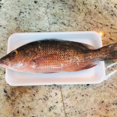 ️ Comprar Pargo Dienton (Ver descripcion) Online en Margarita