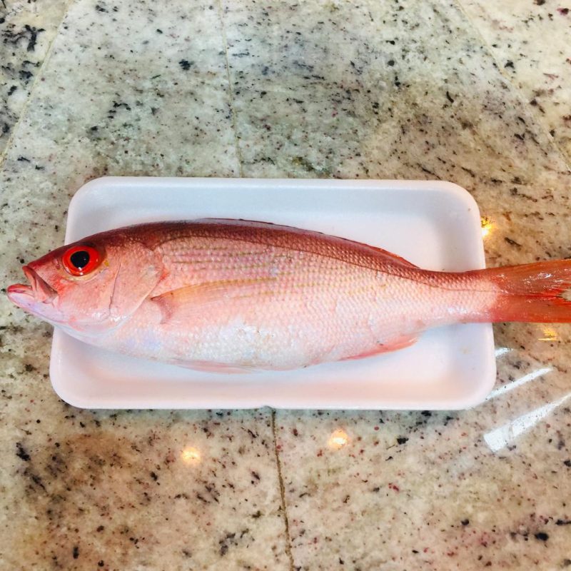 ️ Comprar Pargo Dienton (Ver descripcion) Online en Margarita